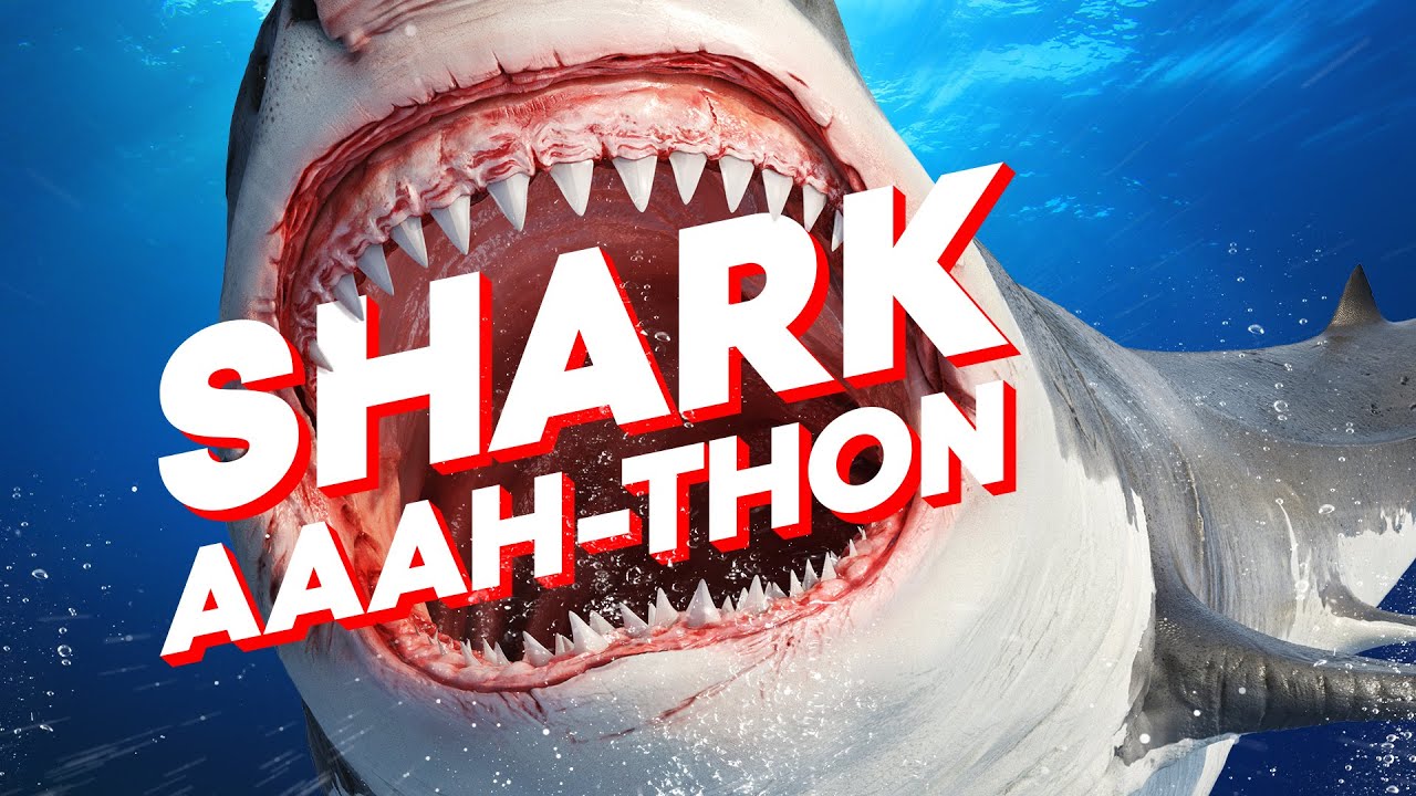 SHARK-AAAH-THON - SHARKS!!!!! - :30 On Air Promo - YouTube
