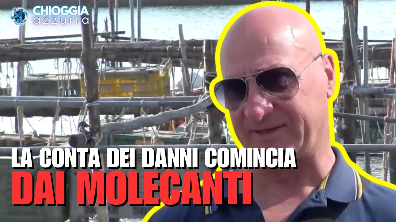 LA CONTA DEI DANNI COMINCIA DAI MOLECANTI - YouTube