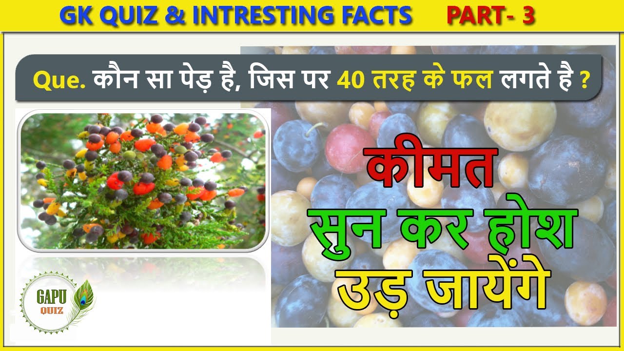 40 Falo Wala Ped kaun Sa Hai l Tree Of 40 Kahan Hai l Interesting Facts ...