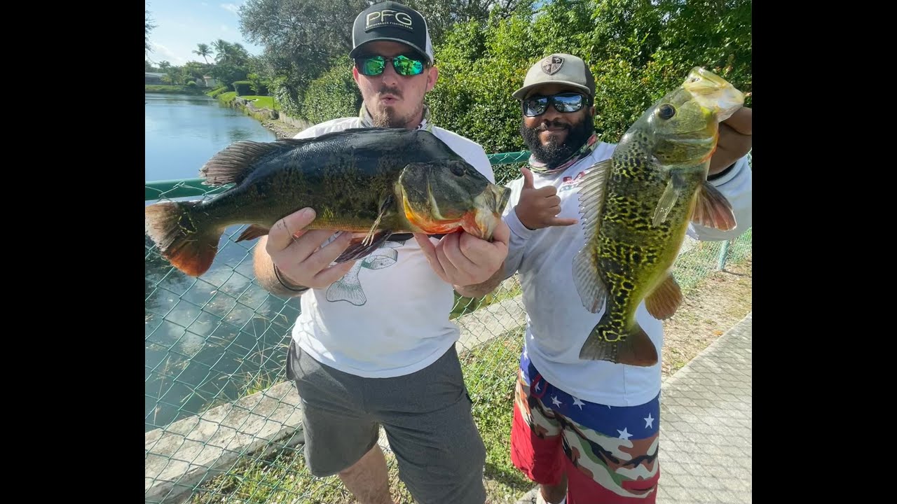 Monster mike and I Fishing For Exotic Peacock Bass in Miami Florida ...