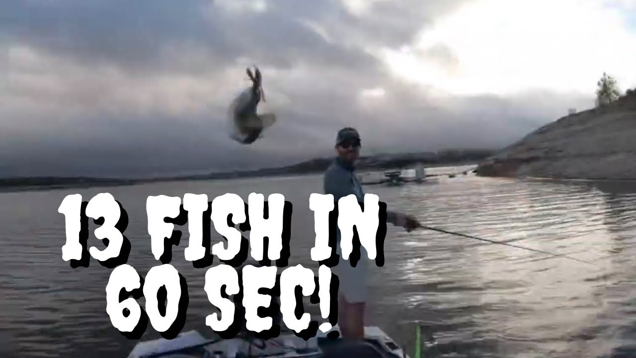 Caught 13 fish in 60 seconds!! - YouTube