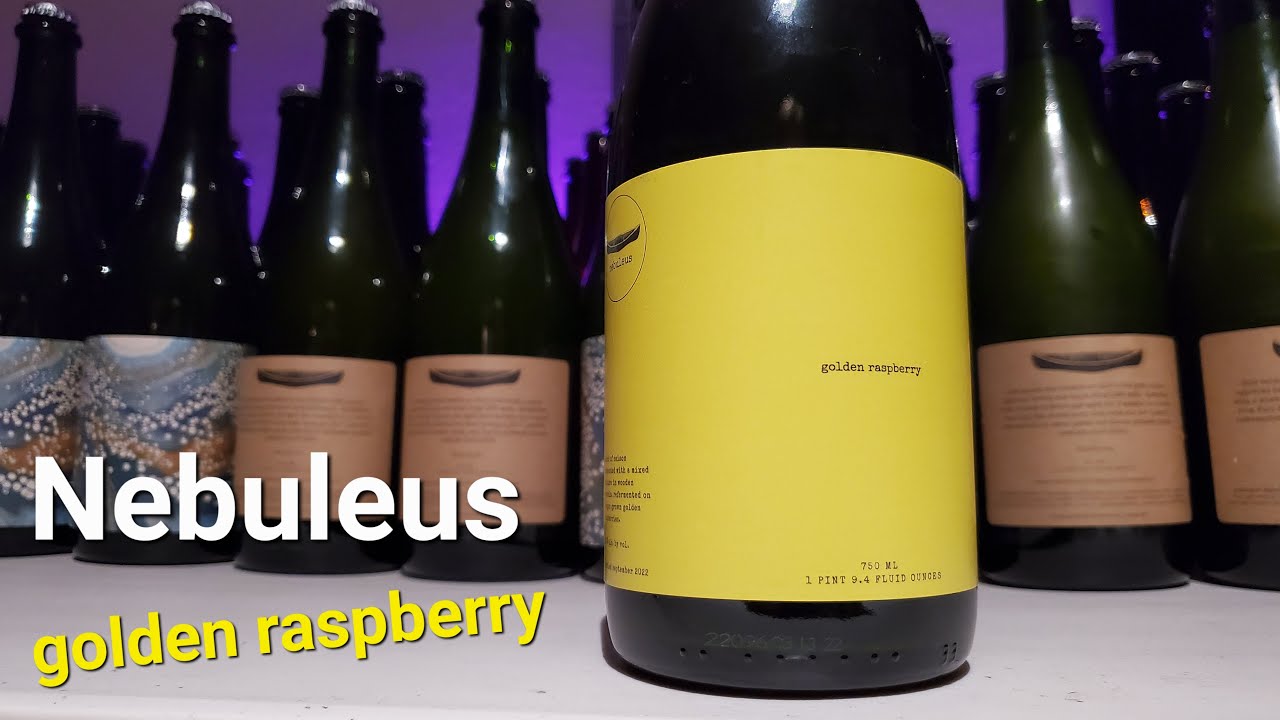 Nebuleus Brewing "golden raspberry" Beer SHORT - YouTube