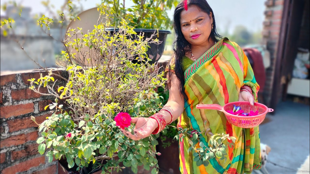 My first blog bagvani mini Blog - YouTube