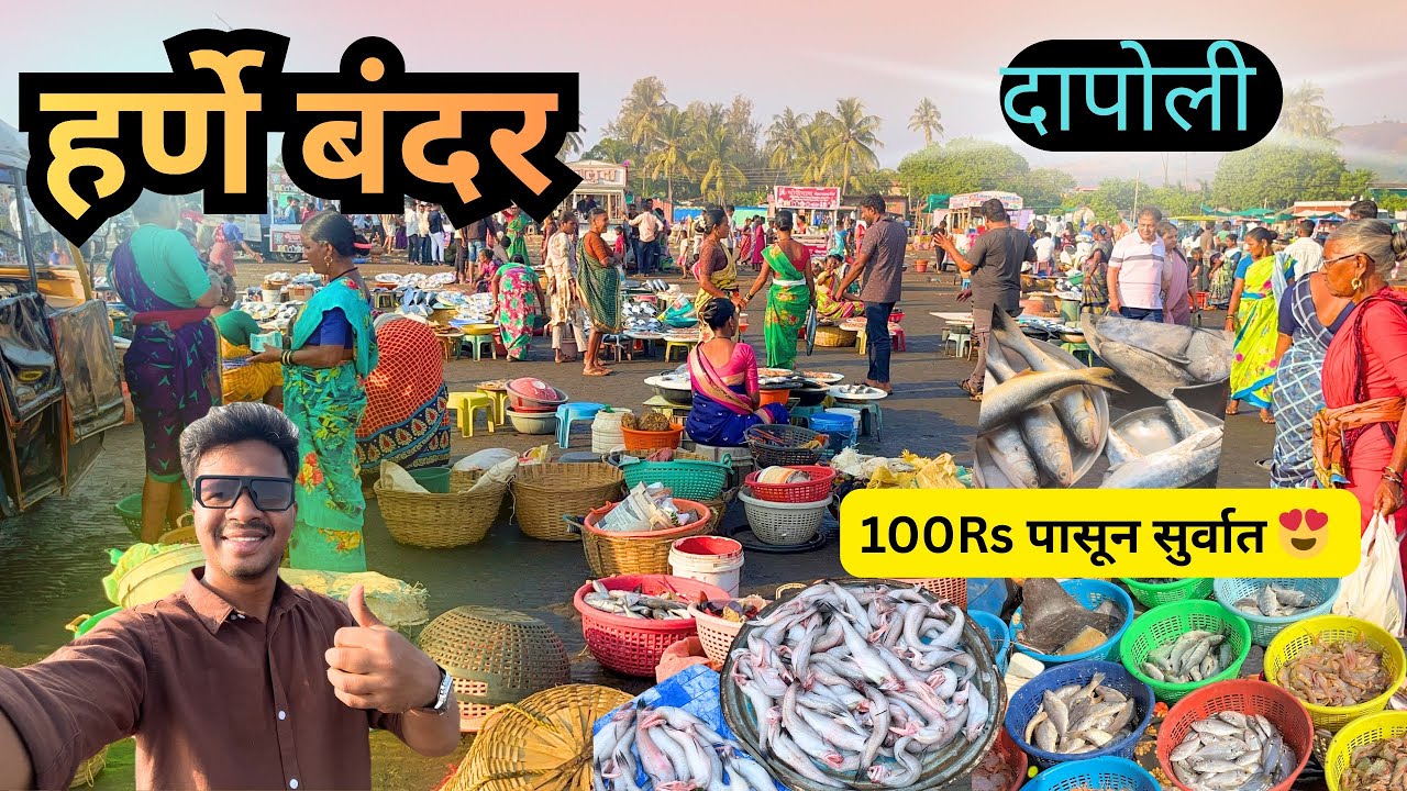हर्णे बंदर 🐟| harne bandar fish market | dapoli harne bandar | dapoli ...