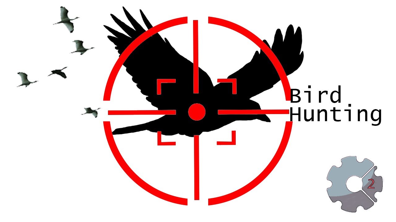 Bird Hunting Construct 2 - YouTube