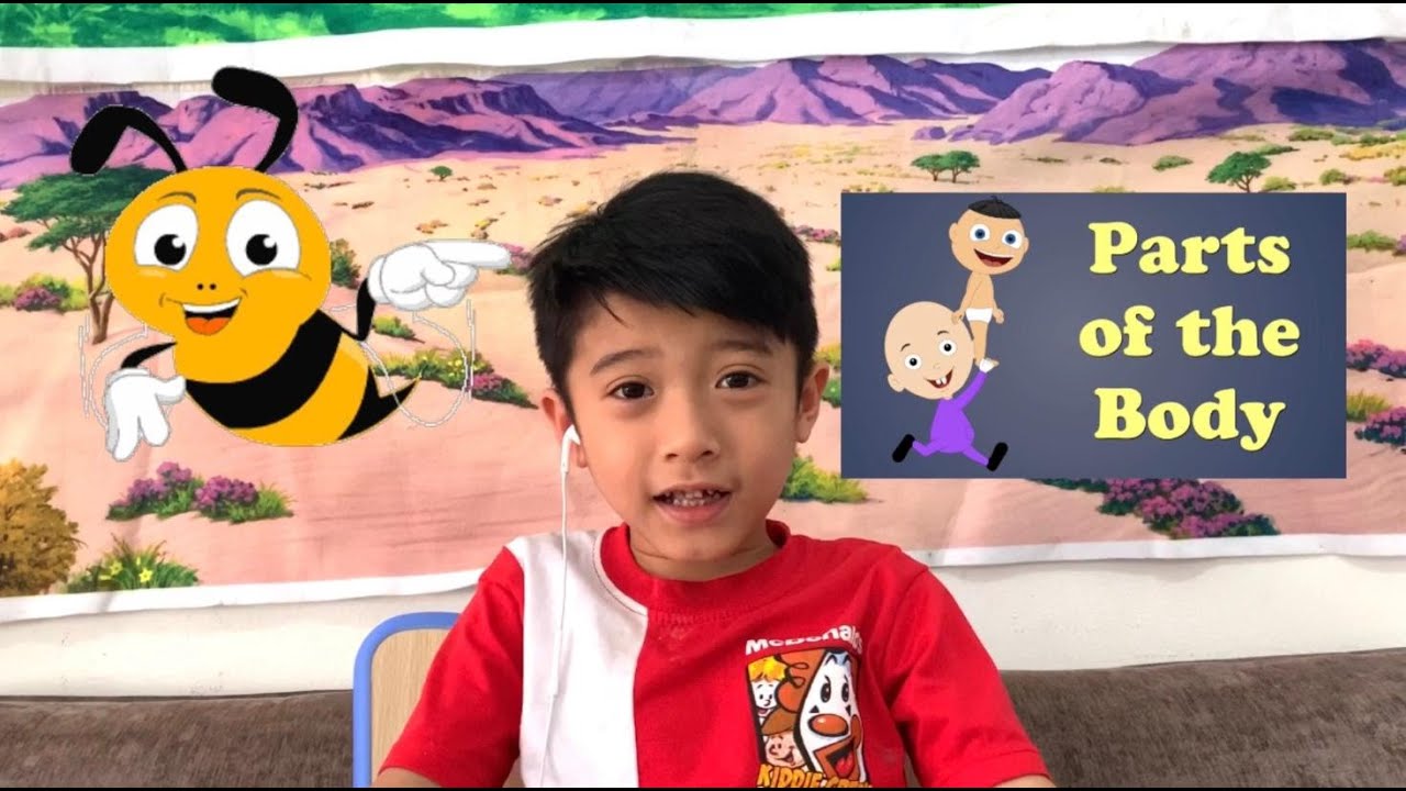 PARTS OF THE BODY - BY FRANZ - YouTube