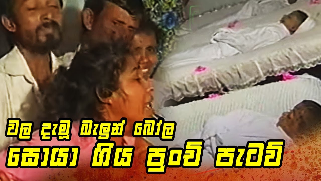 වල දැමූ බැලුන් බෝල සොයා ගිය පුංචි පැටව් || Angili Salakuna (ඇඟිලි සලකුණ ...