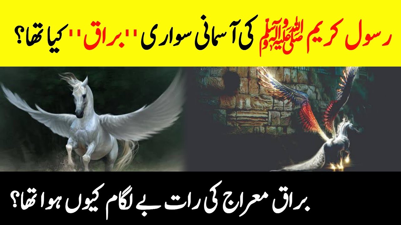 What Was Buraq? || What Is Story Of Buraq? || Isra Aur Meraj Ka Waqia ...