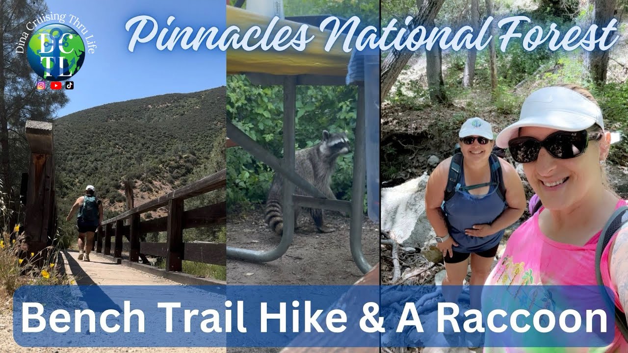 Bench Trail at Pinnacles National Forest - YouTube