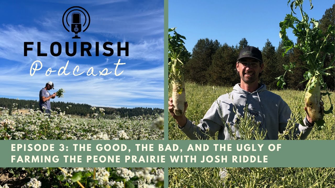 Episode 3: The Good, The Bad, and The Ugly of Farming the Peone Prairie ...
