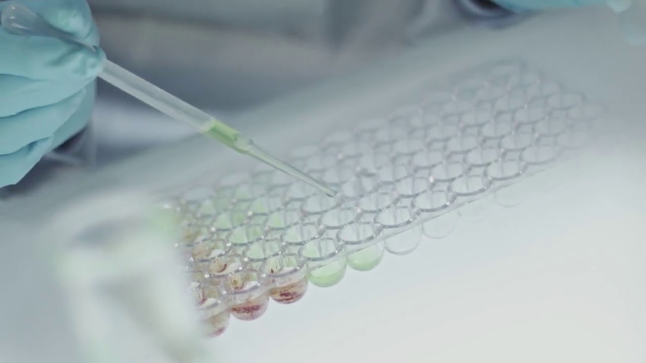 Science Laboratory |4K| - YouTube