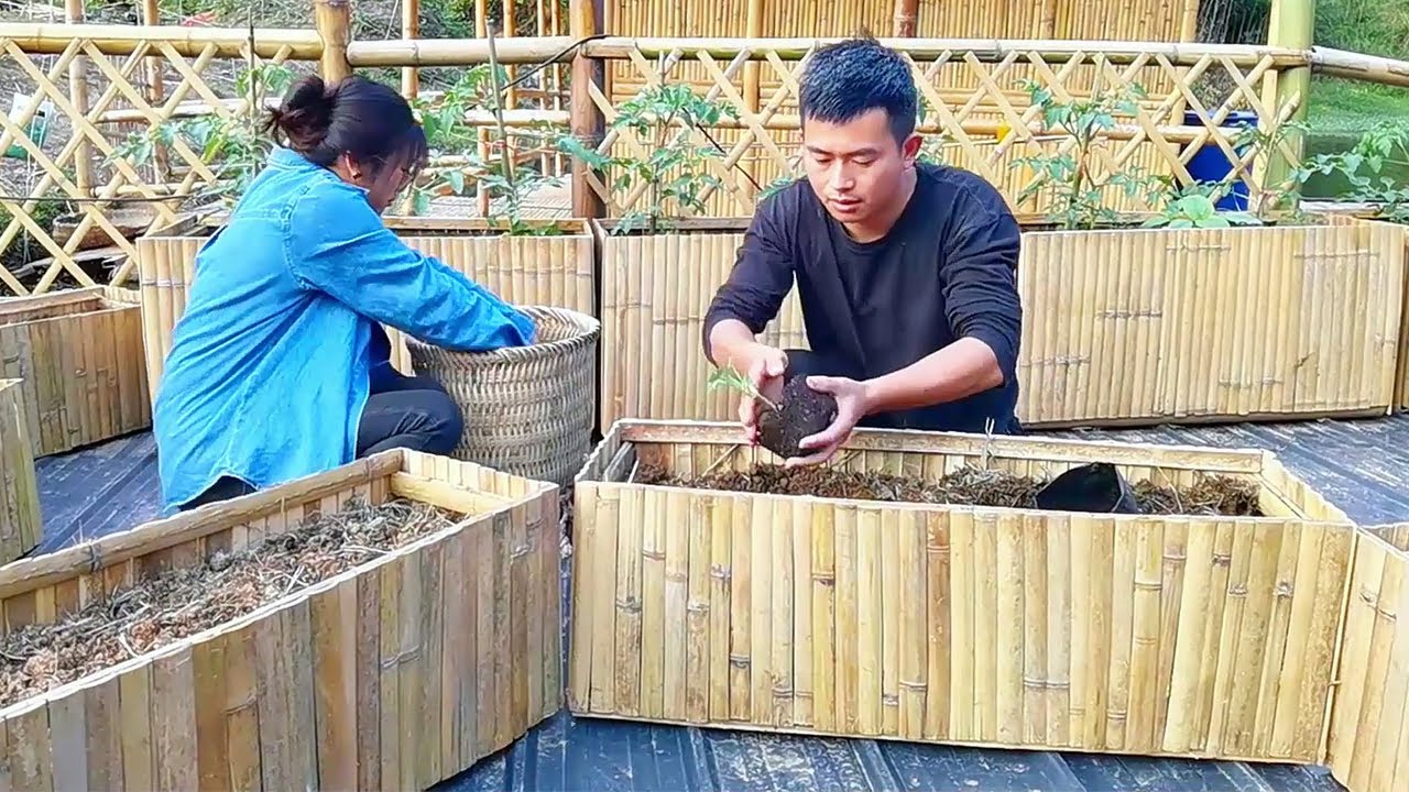 Spend three months building a floating vegetable garden - YouTube