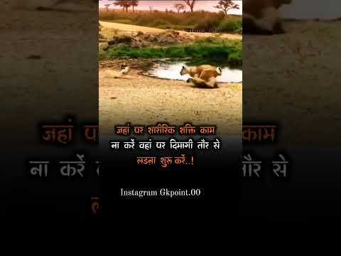 #motivational #reelsreel https://www.instagram.com/reel/CrTZY0uAvIL/?igshid=YmMyMTA2M2Y= - YouTube