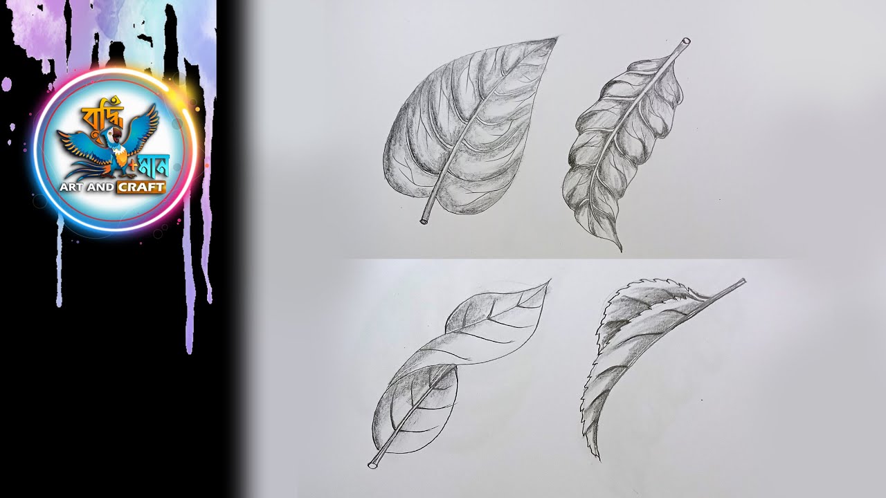 How to draw Leaf & Curved Leaf - YouTube