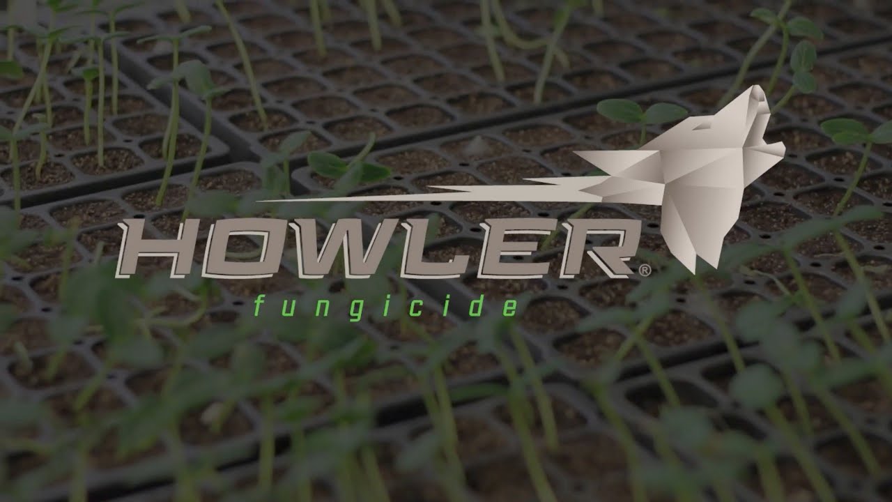 Howler - A Fungicide Unlike Any Other - YouTube