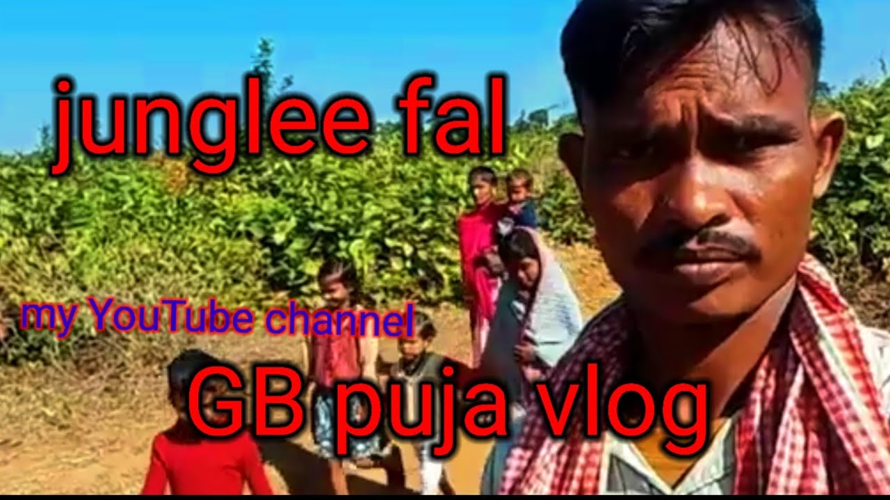 #jungali fal ber kanod bahut swadisht fal Jharkhand Hazaribag jharpo ...