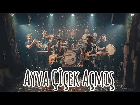 ​Ayva Çiçek Açmış, Yaz mı Gelecek? 🌸 (Modern Cover)
