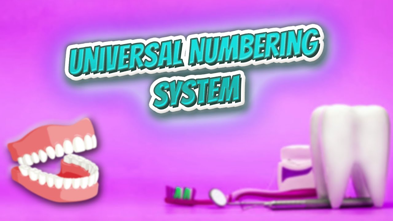 Universal Numbering System - Everything Dentistry 🍎👄🔊 - YouTube