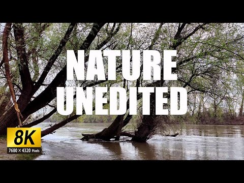8K Ultra HD Real Life Footage | Unedited & unsharpened details - YouTube