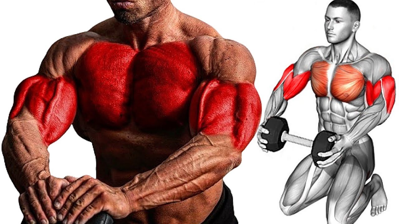 Chest and Arms Workouts at The Gym - YouTube