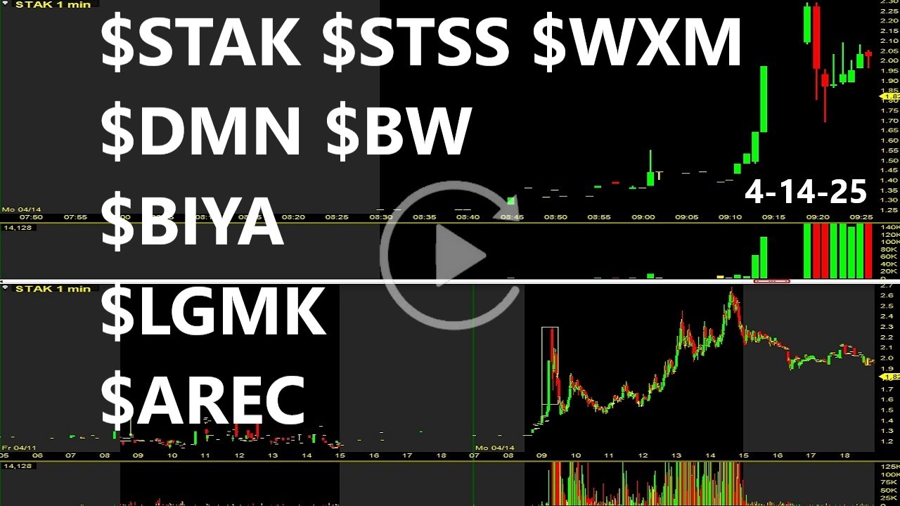 $STAK $STSS $WXM $DMN $BW $BIYA $LGMK $AREC Top Stocks Replay, Review ...