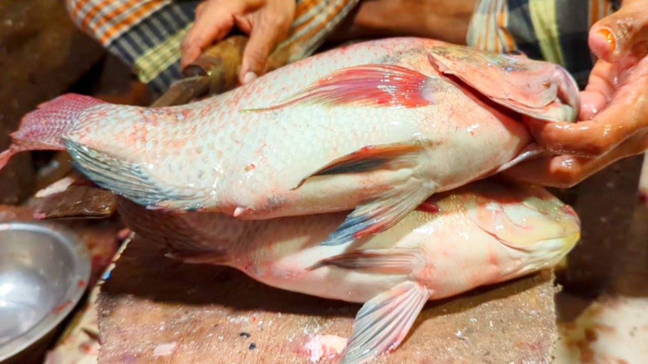 Incredible Fast Tilapia Fish Cutting & Skinning Skills In Bangladesh ...