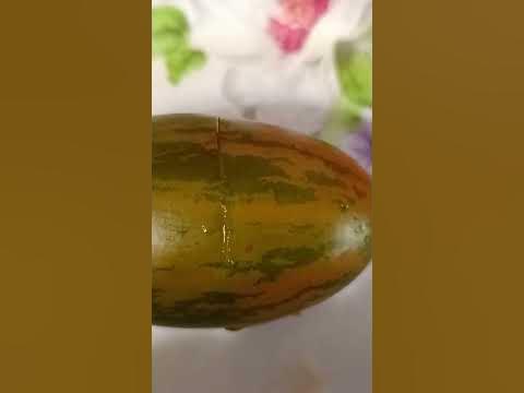 Томат Атомный виноград Бреда. - YouTube