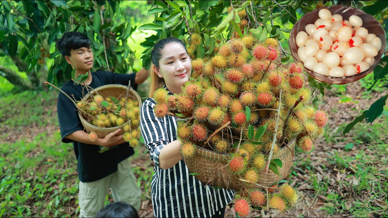 Harvest and eat Rambutan together | Marinate Rambutan with Chili Salt ...