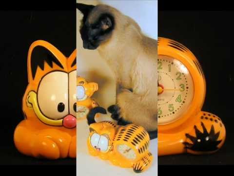 Garfield Talking Clock 3 Times.wmv - YouTube