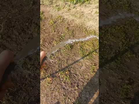 Парник для зелени - YouTube