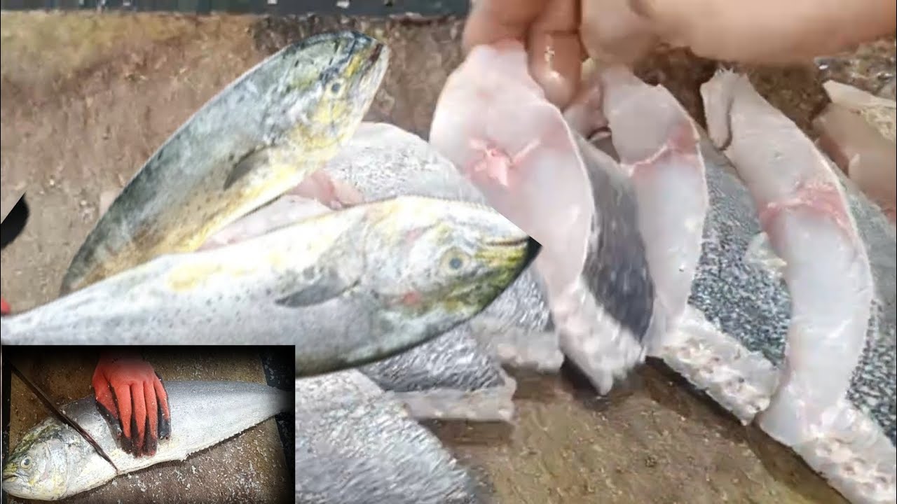 Wow! Amazing Fish Cutting! 🔥Fish Recipe! Fish cutting skills | Seafood ...