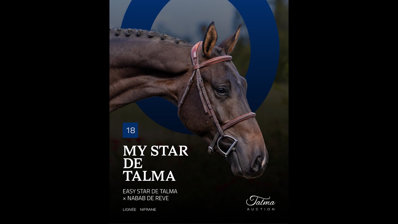 MY STAR DE TALMA - Talma Auction 2025 - YouTube