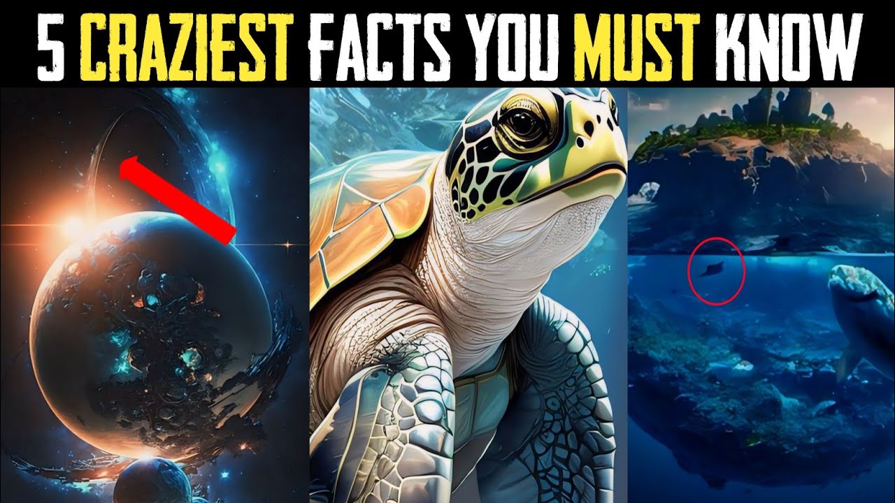 5 craziest facts you must know | Interesting and Informative facts ...