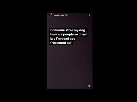 Malu Trevejo cries on dog being stolen
