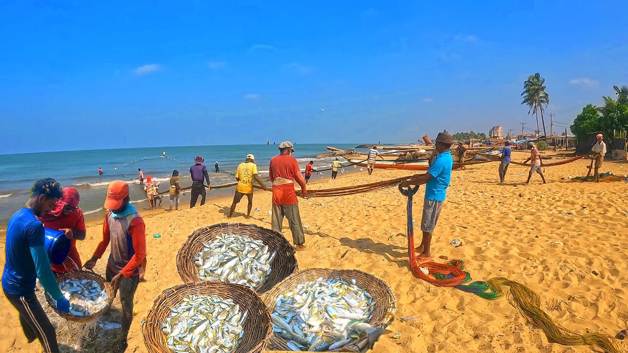 Amazing Traditional Hand Trawling Method In Sea - Catching Fish with a ...
