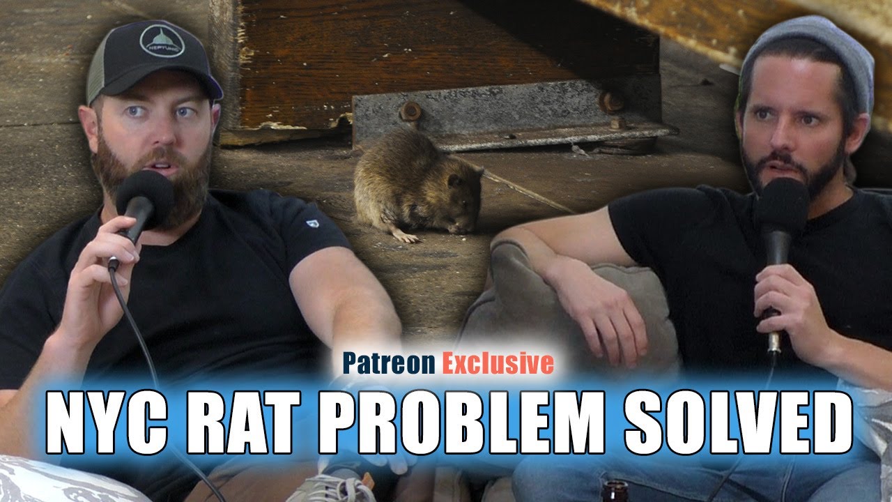 We Solved The New York Rats Problem | Rat Czar - YouTube