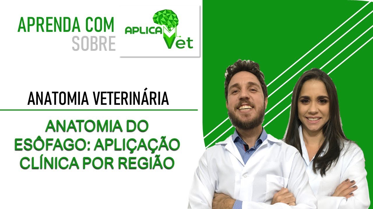 Anatomia Veterinária - Anatomia do esôfago - Aplicações clínicas por ...