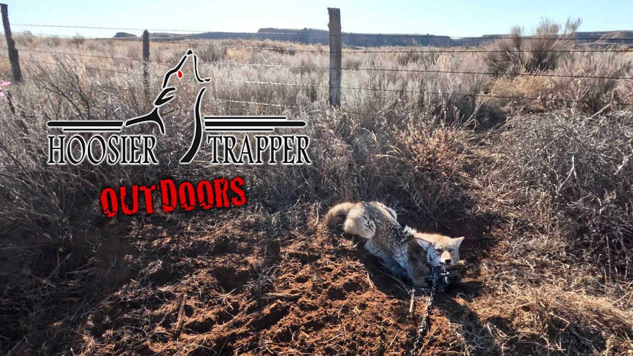 Hoosier Trapper Outdoors - S.14 Ep.8 - Another day on the Trapline ...