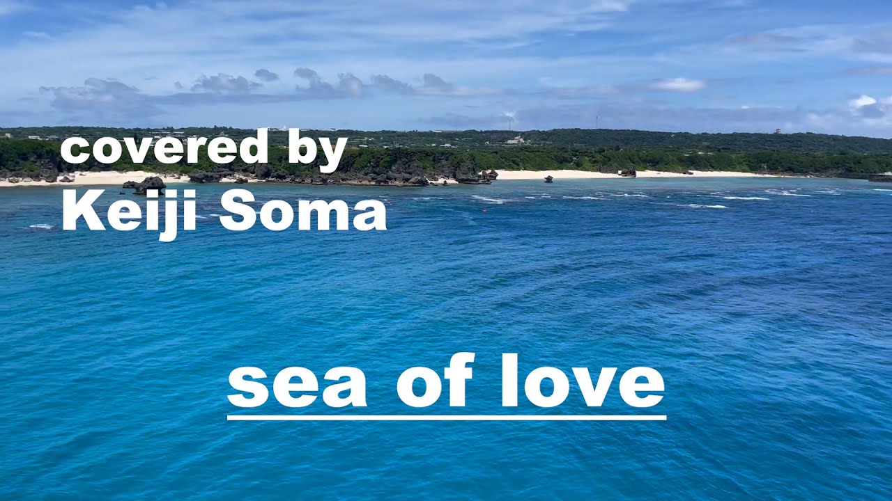 【cover】Sea of Love - The Honeydrippers - YouTube