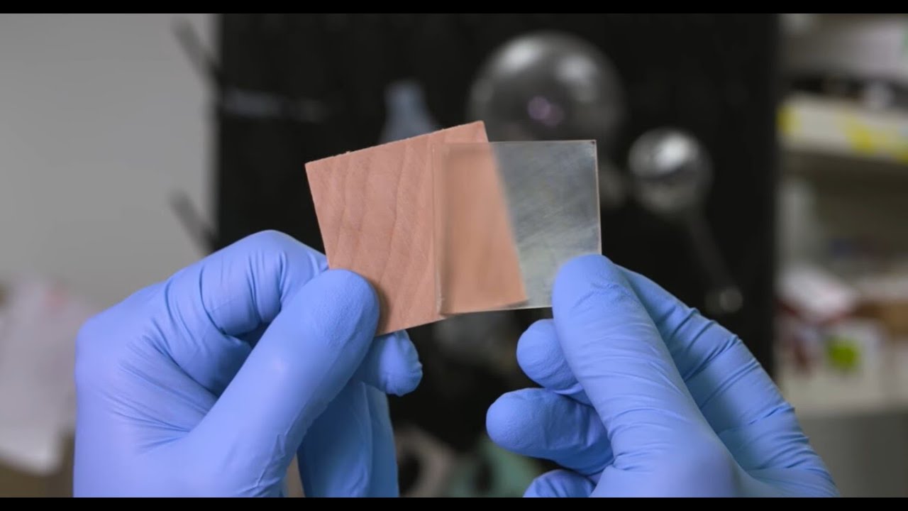 Adiós al Vidrio! Bienvenidos a un Mundo de Madera Transparente - YouTube