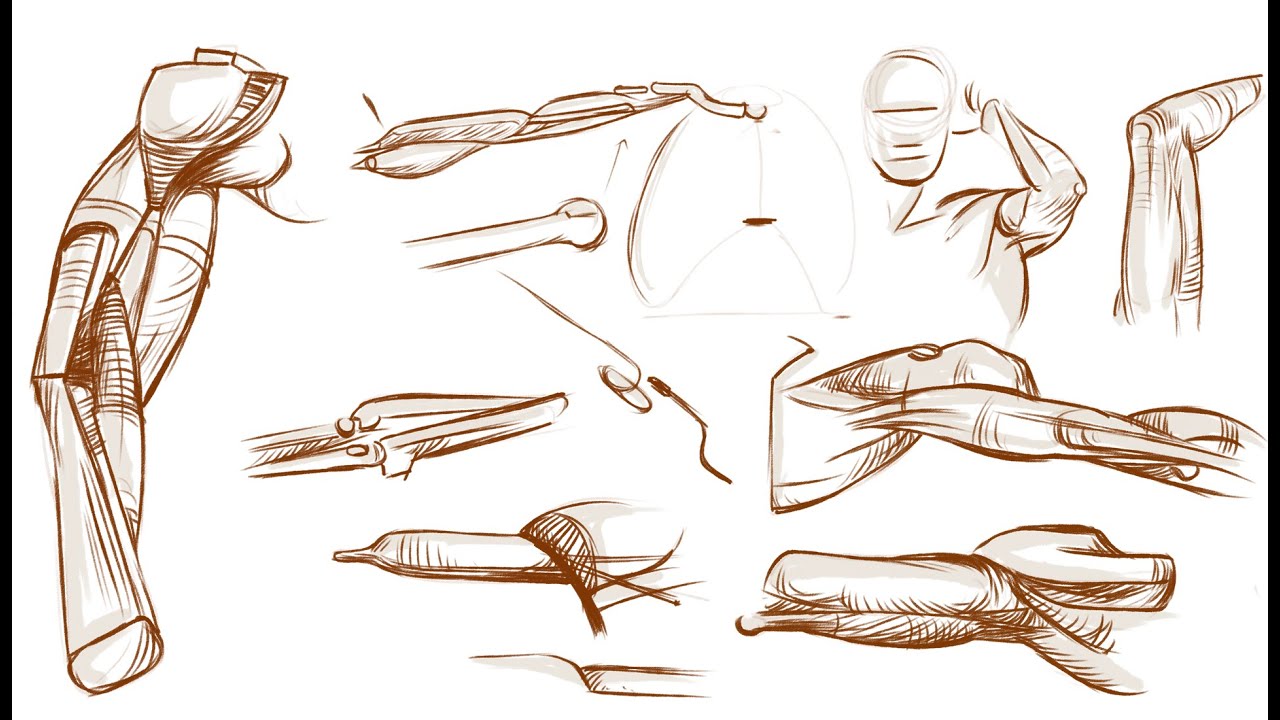 How to Draw Biceps - Upper Arm Anatomy for Artists Biceps Assignment ...