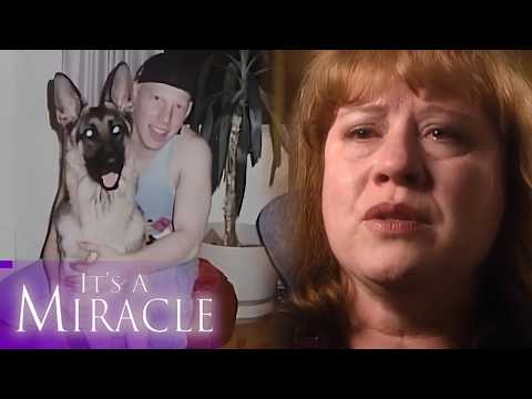 This Dog Wasn’t Just a Pet. It Was a Guardian Angel (TRUE Miracles)