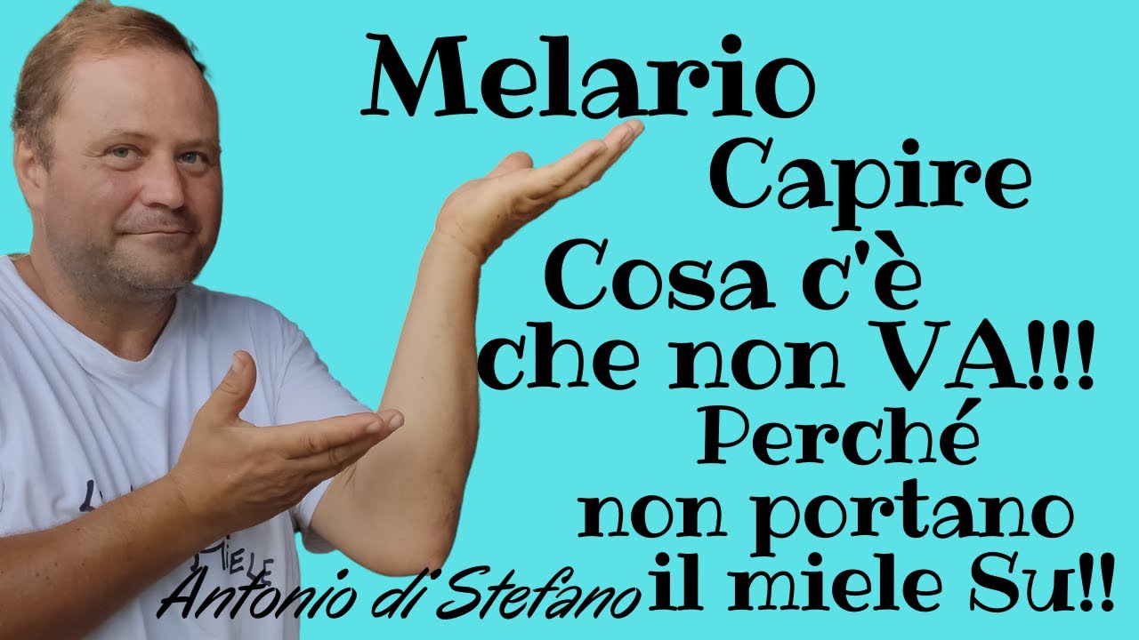 Melario ancora Vuoto !!!Perché? cosa devi guardare?Attenzione !!!!Miele non c'é? devi capire ...