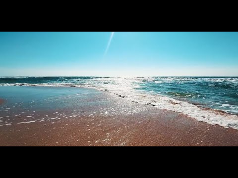 Collection No copyright Nature Background video 4K - YouTube