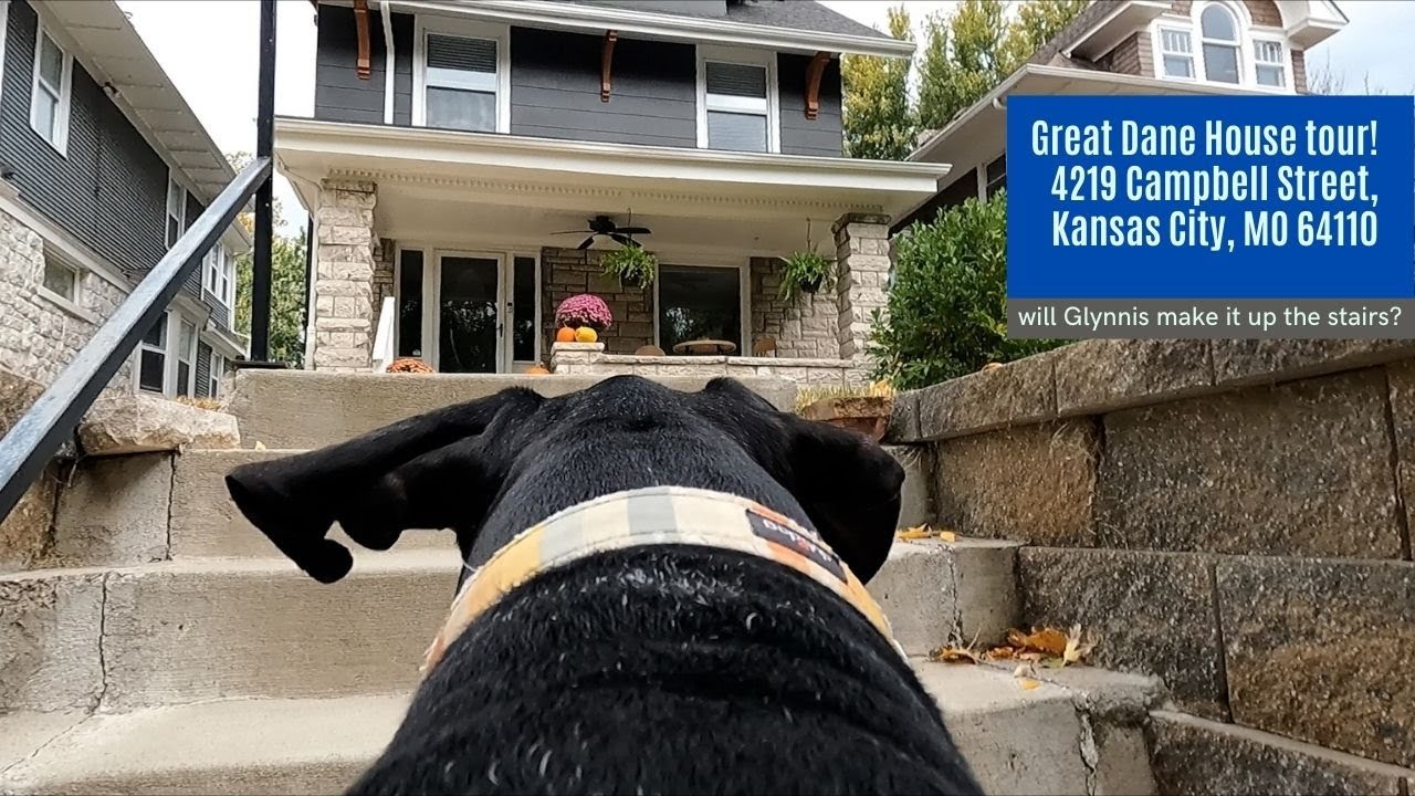 Not a boring house tour! Fabulous Hyde Park home in Kansas City! - YouTube