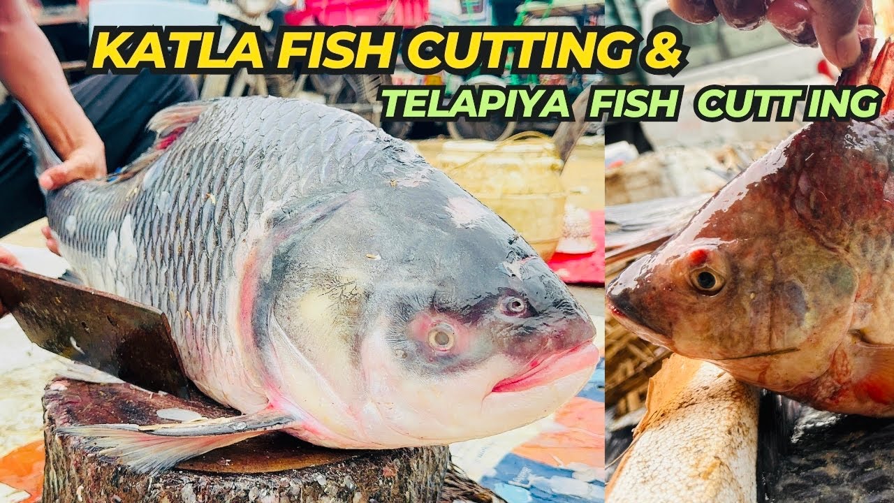 Incredible Huge Katla & Telapiya Fish Cutting Skills In Fish Market ...