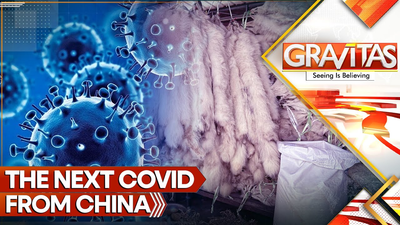 Next Covid From China: Killer Virus Found in Chinese Fur Farms ...