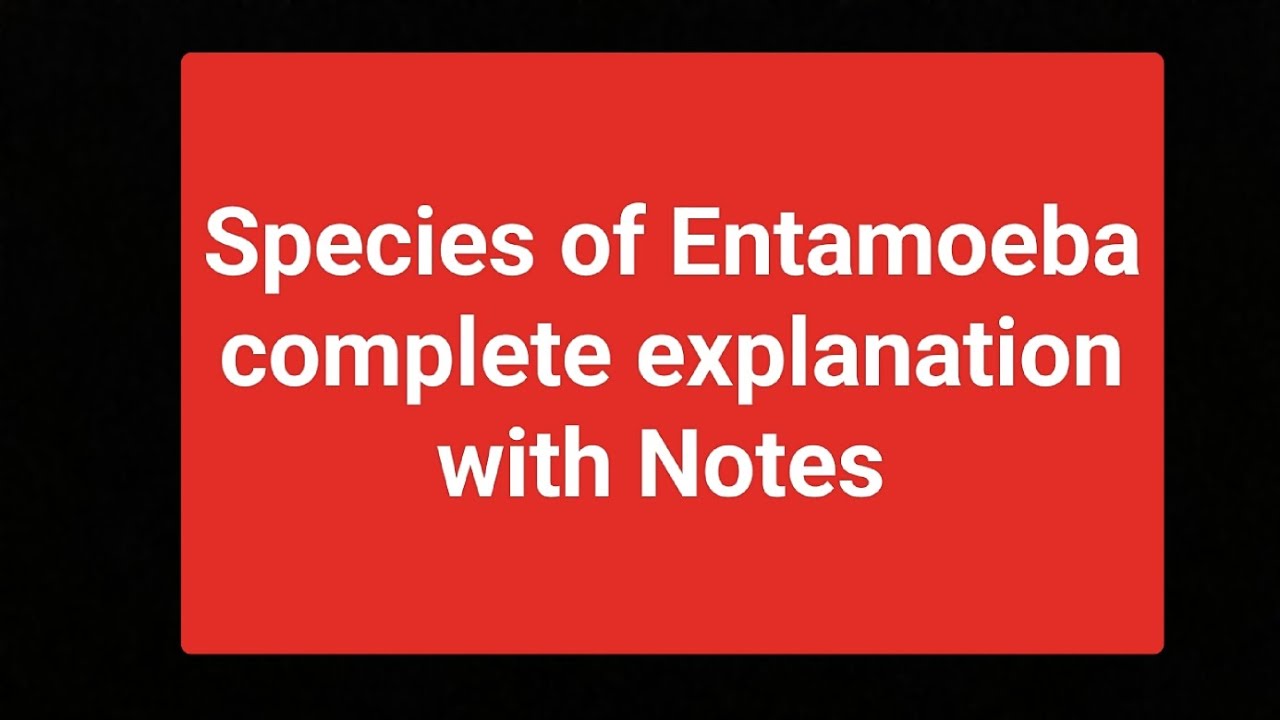 Species of Entamoeba Easy Explanation - YouTube