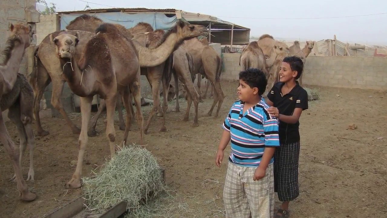 Jabali (Jebali) Peoples of Oman - YouTube
