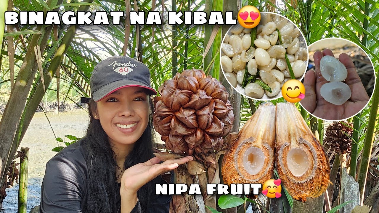 Binagkat na Kibal | Nipa Fruit - YouTube